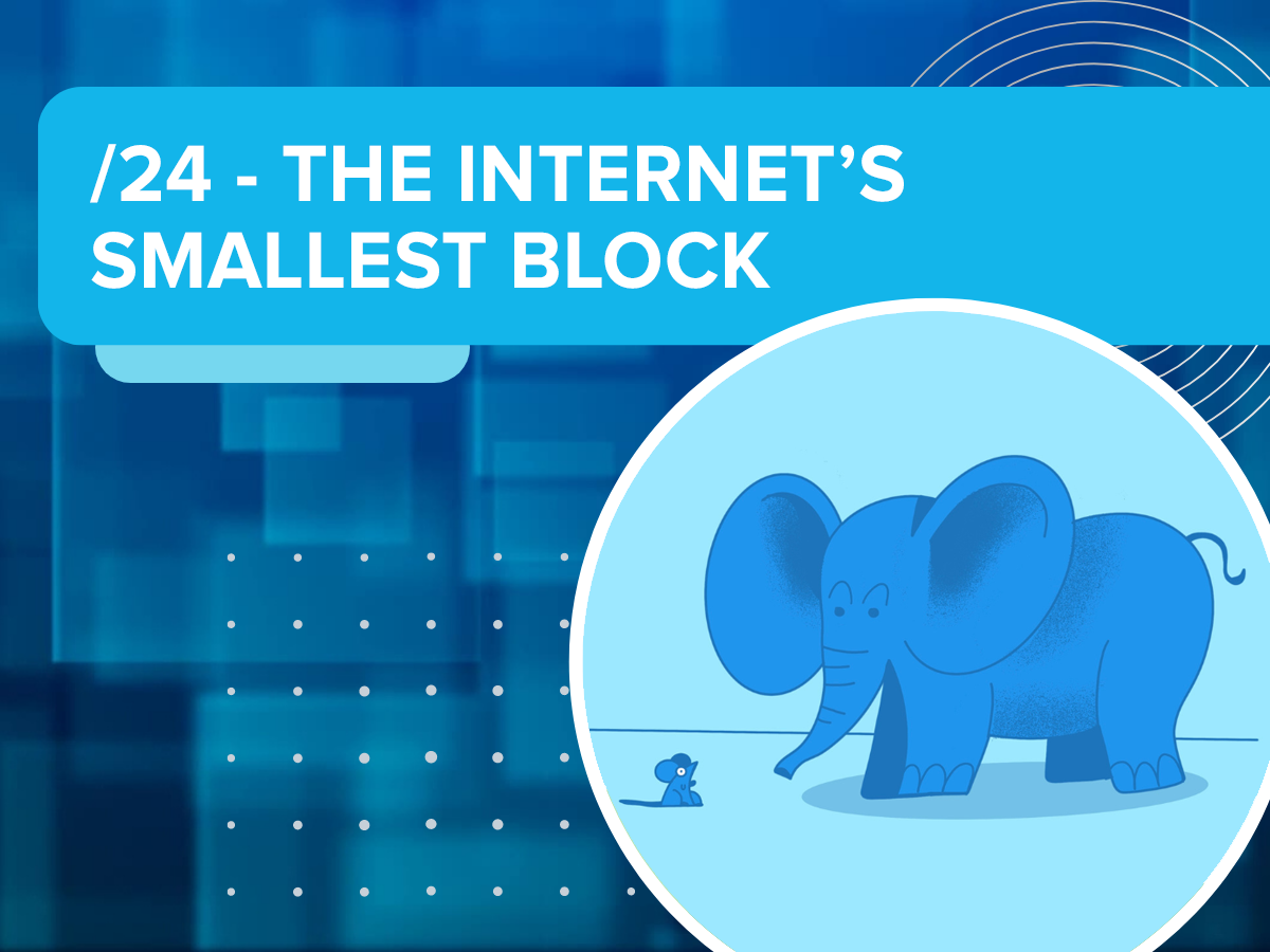 /24 – The Internet’s Smallest Block | IPv4 Global
